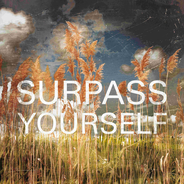 Trinx Surpass Yourself - Wayfair Canada